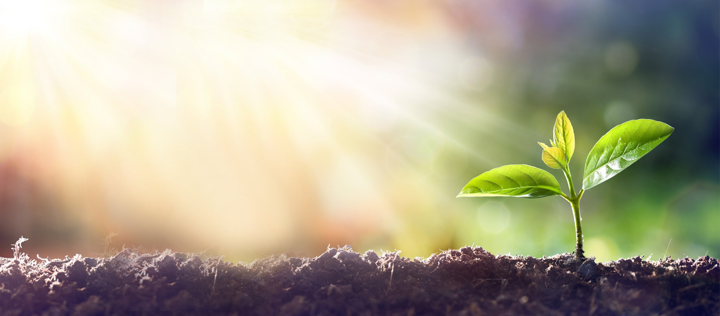 Flourish Guides | Best Christian Workplaces